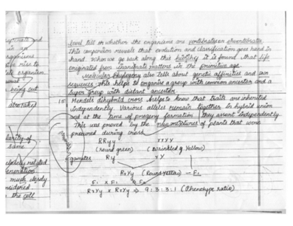 sample-copy-2 - MTG Blog