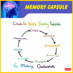 10 Important and Useful Mnemonics for Biology Students - MTG Learning ...