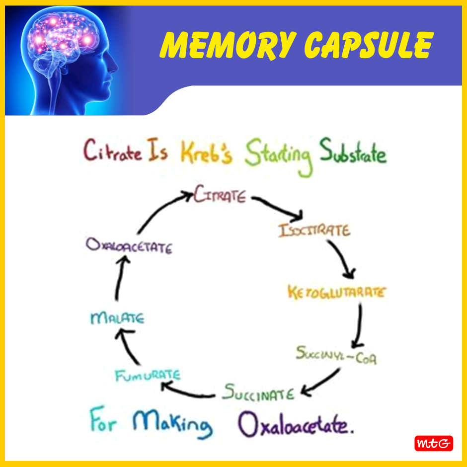 10 Important and Useful Mnemonics for Biology Students - MTG Learning ...