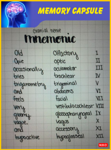 10 Important and Useful Mnemonics for Biology Students - MTG Learning ...