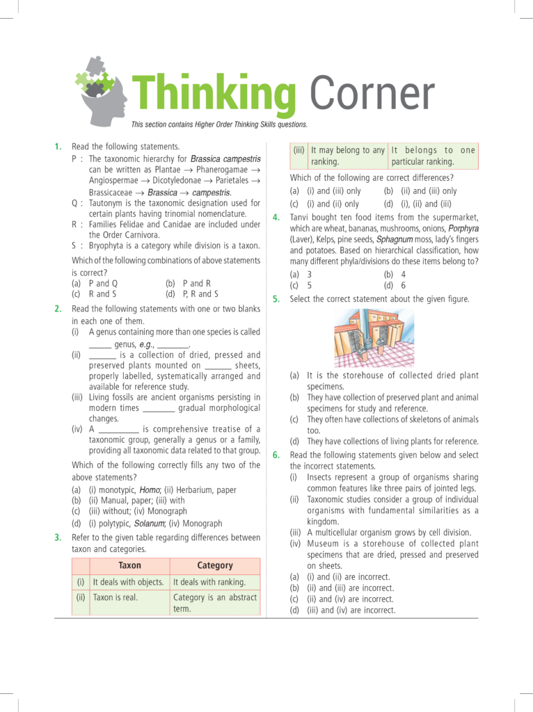 Thinking Corner - MTG Learning Media Resources
