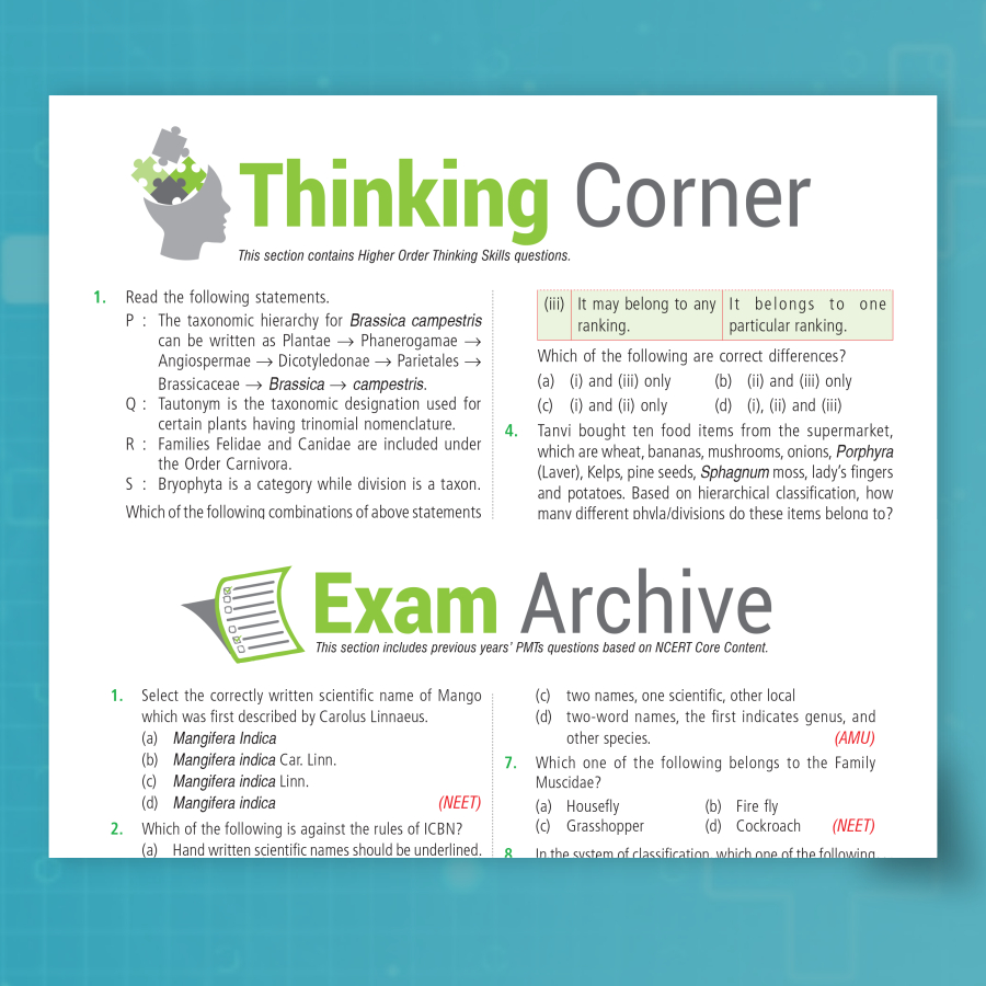 thinking and exam - MTG Learning Media Resources