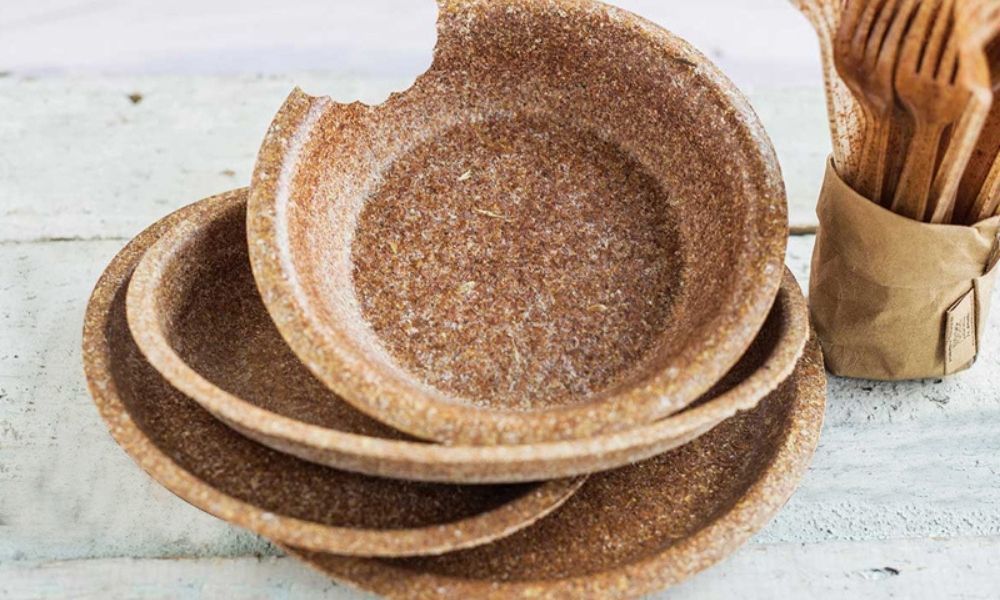 Top Eco-Friendly and Green Inventions from India | MTG Learning Media ...