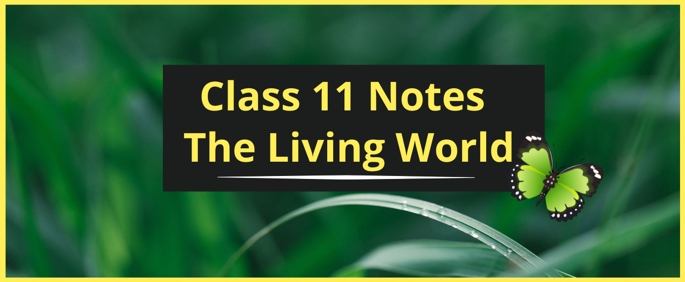 The Living World Class 11 Notes for NEET, CBSE - MTG Learning Media ...