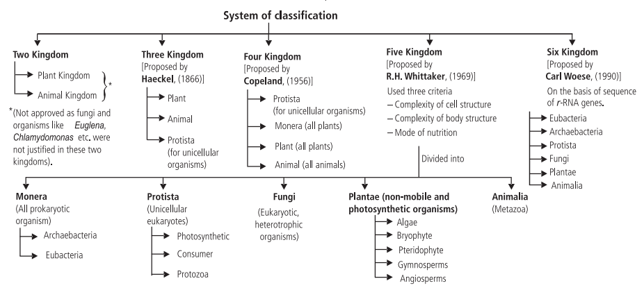 Biological Classification Class 11 Notes for NEET - MTG Learning Media ...