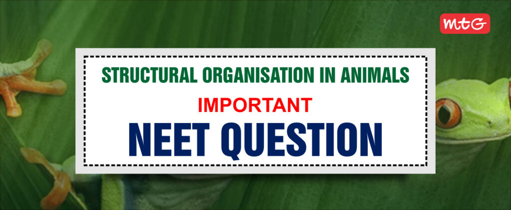 Structural Organisation in Animals NEET Questions and Answers