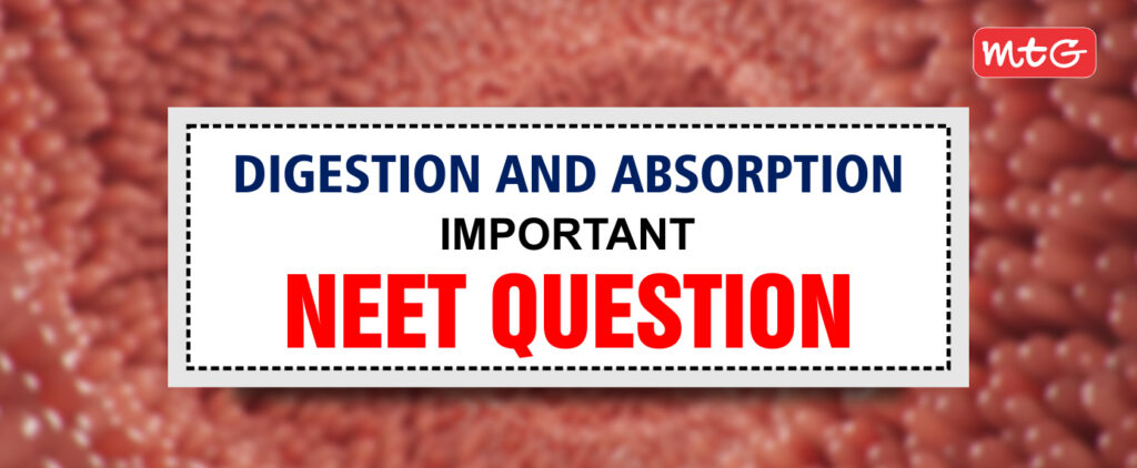 Digestion and Absorption NEET Question & Answers - Free PDF Download