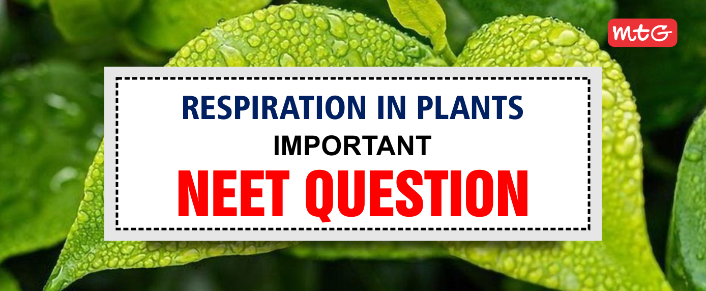 respiration in plants neet questions and answers - MTG Learning Media ...