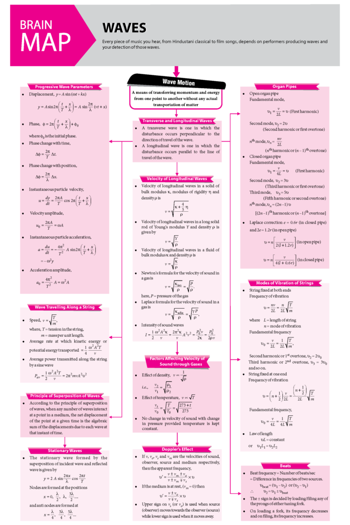 Brain map - MTG Learning Media Resources