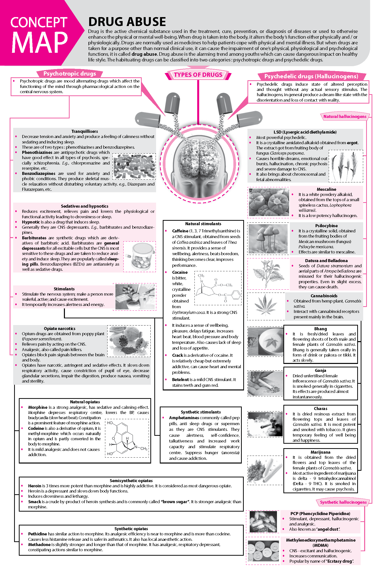 Concept map - MTG Blog