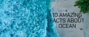 100 Amazing Science Facts That Will Blow Your Mind - MTG Learning Media ...
