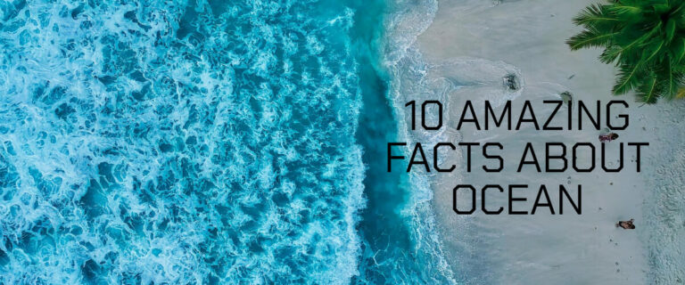 100 Amazing Science Facts That Will Blow Your Mind - MTG Learning Media ...