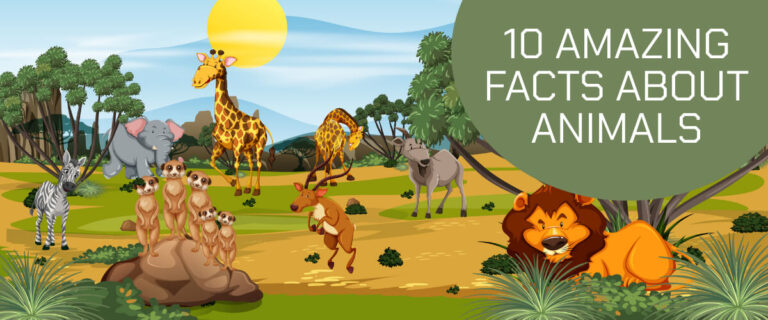 100 Amazing Science Facts That Will Blow Your Mind - MTG Learning Media ...