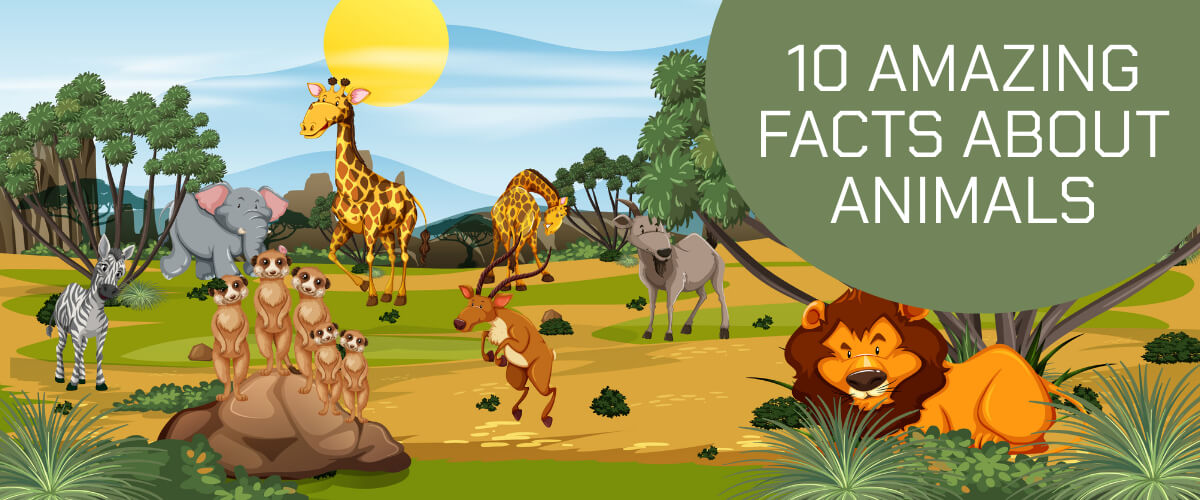 100 Amazing Science Facts That Will Blow Your Mind - MTG Learning Media ...